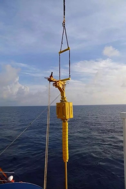 Vertebrae Bend Restrictors